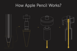 Home [essentialpicks.com]