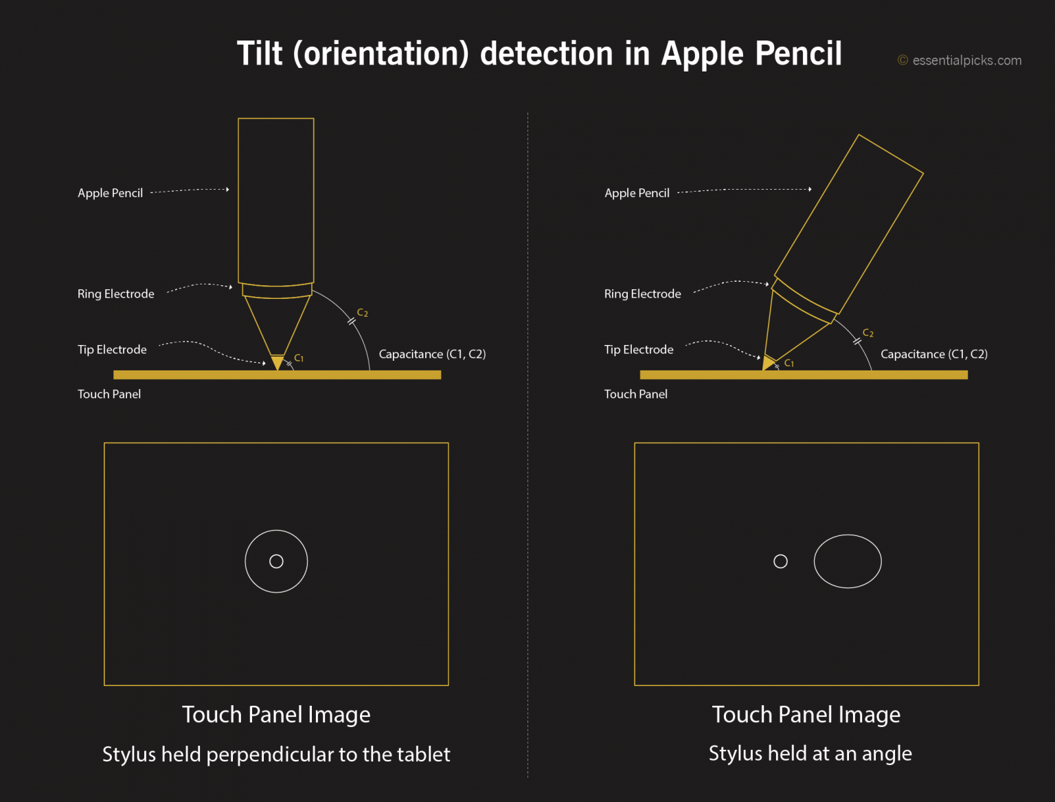 Explained: How Apple Pencil Works? Simplified with Infographic