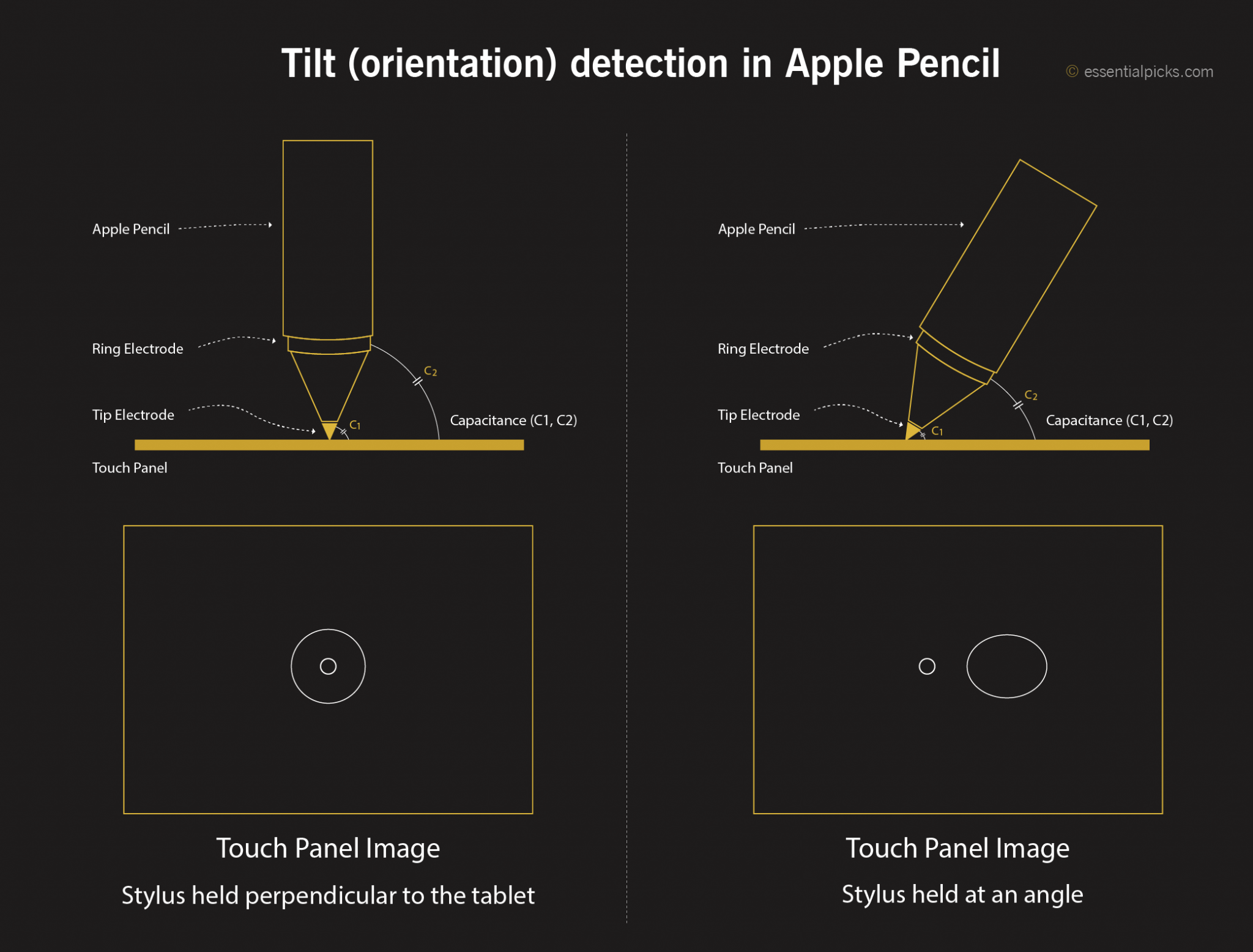 Explained: How Apple Pencil Works? Simplified with Infographic